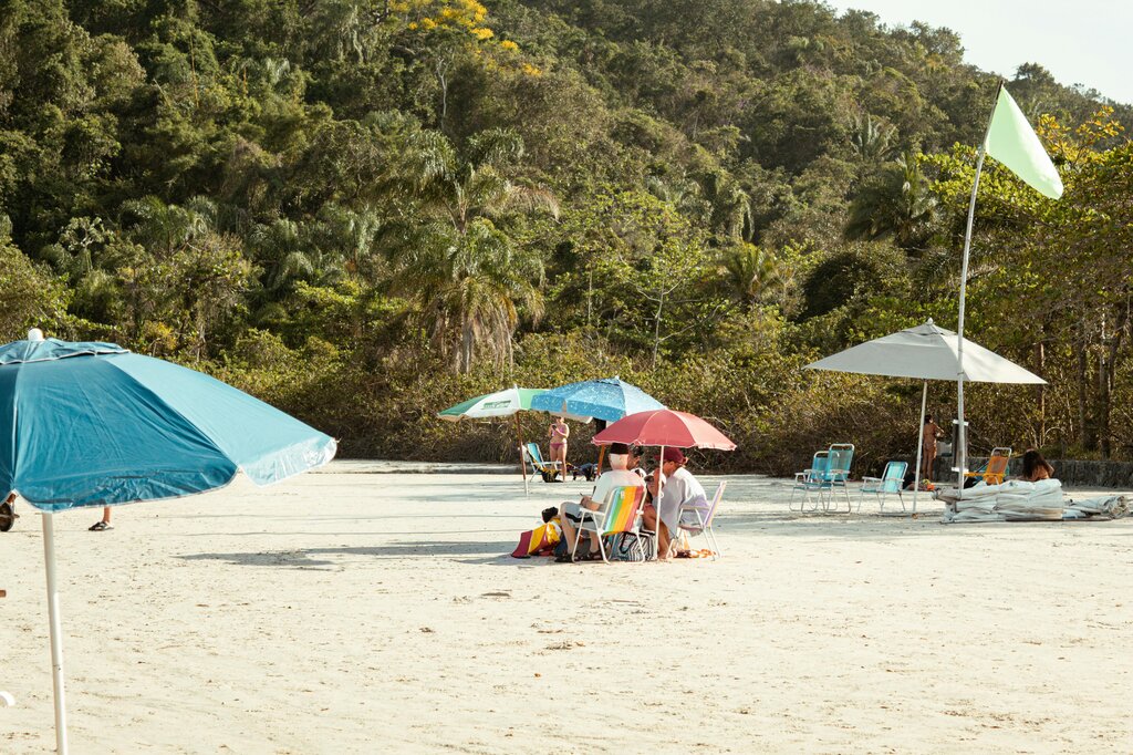 Matching Pairs: Paulo Freire: Conceptos Claves