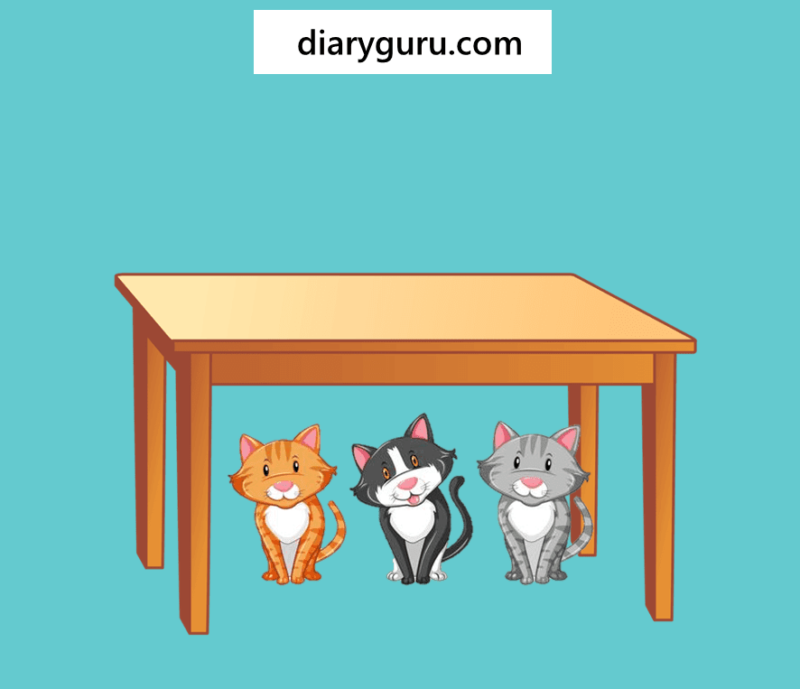 Froggy Jumps: Quiz Posisi Benda