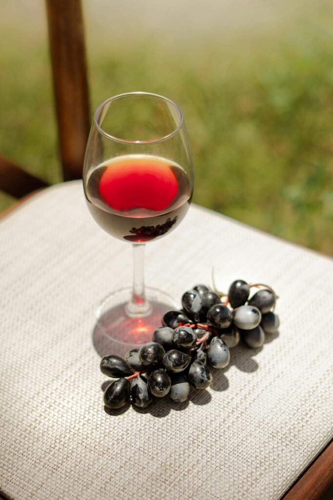 Memory: Juego de Excreción en plantas