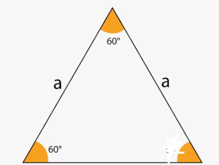 Froggy Jumps: Ayuda al sapito a cruzar el río calificando los ...