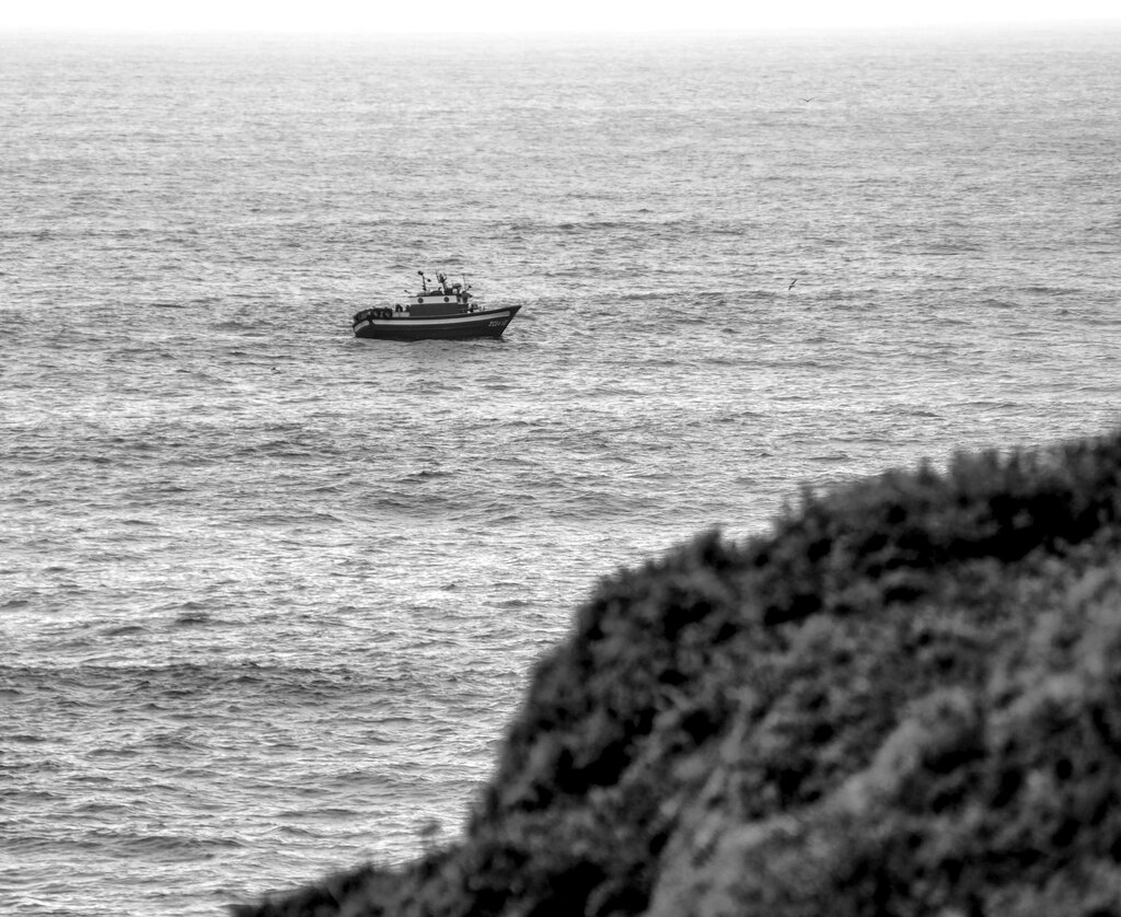 Riddle: Reto de la reproducción animal