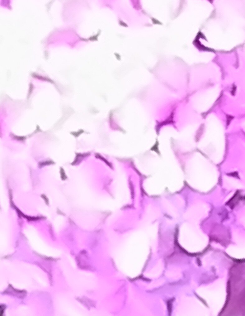 Froggy Jumps: 3 multiplicaciones y una adivinanza (cálculo ...