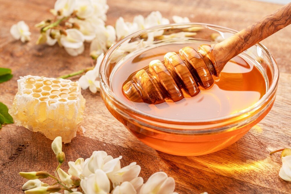 Froggy Jumps: Insectos para Pequeños Exploradores (ciencia y tecnologia)