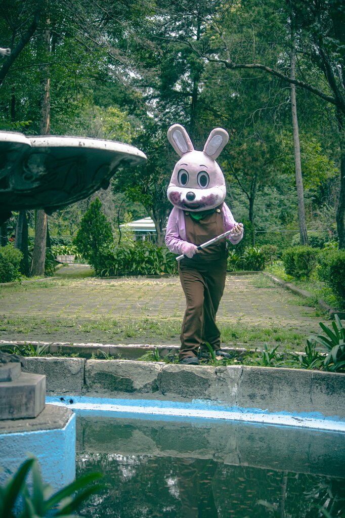 Froggy Jumps: Joc-Iepurele și Ogarul (literature)