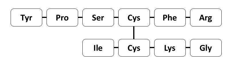 Test: Actividad 6; Aminoácidos y Proteínas