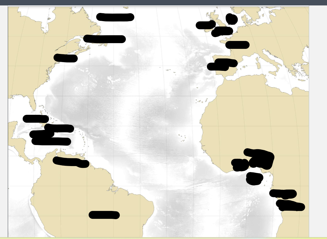 Mapa Interactivo: Globalization 1 Map Quiz Unit 3