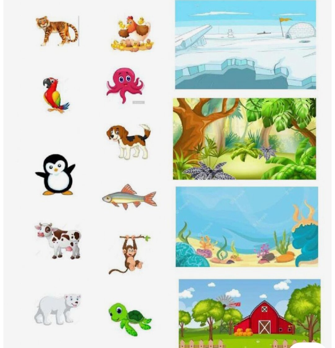 Map Quiz: COLLAGE-MURAL DEL HABITAT DE LOS ANIMALES