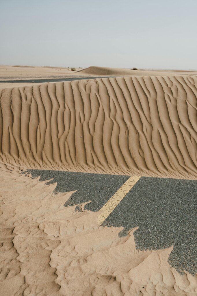 Line Up: Namib Desert Quick: Ordena las respuestas