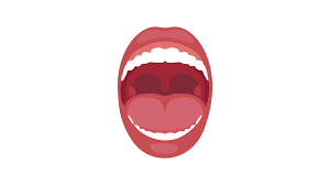 Froggy Jumps: Body Parts Quiz