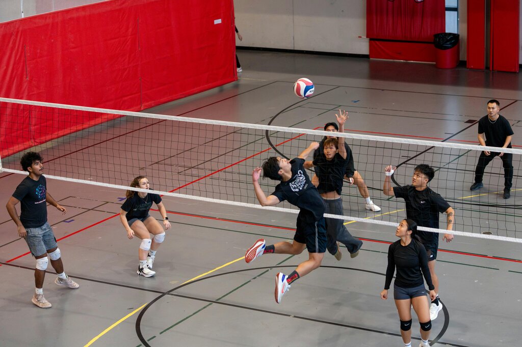 Memory: Tipos de voleibol