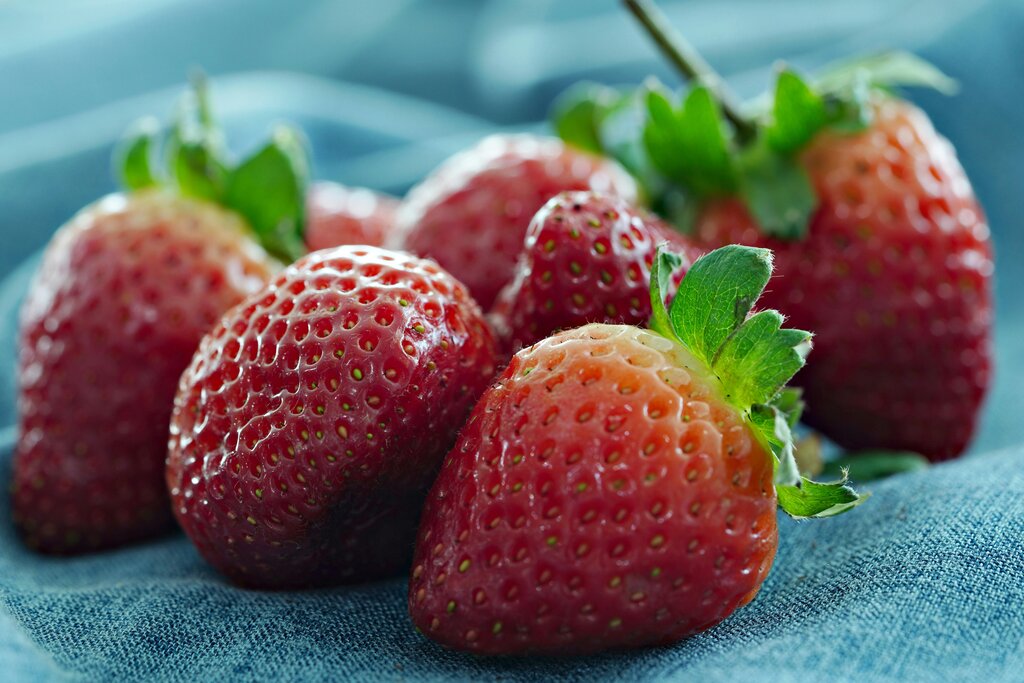 Yes or No: Is It a Fruit? Quick True/False