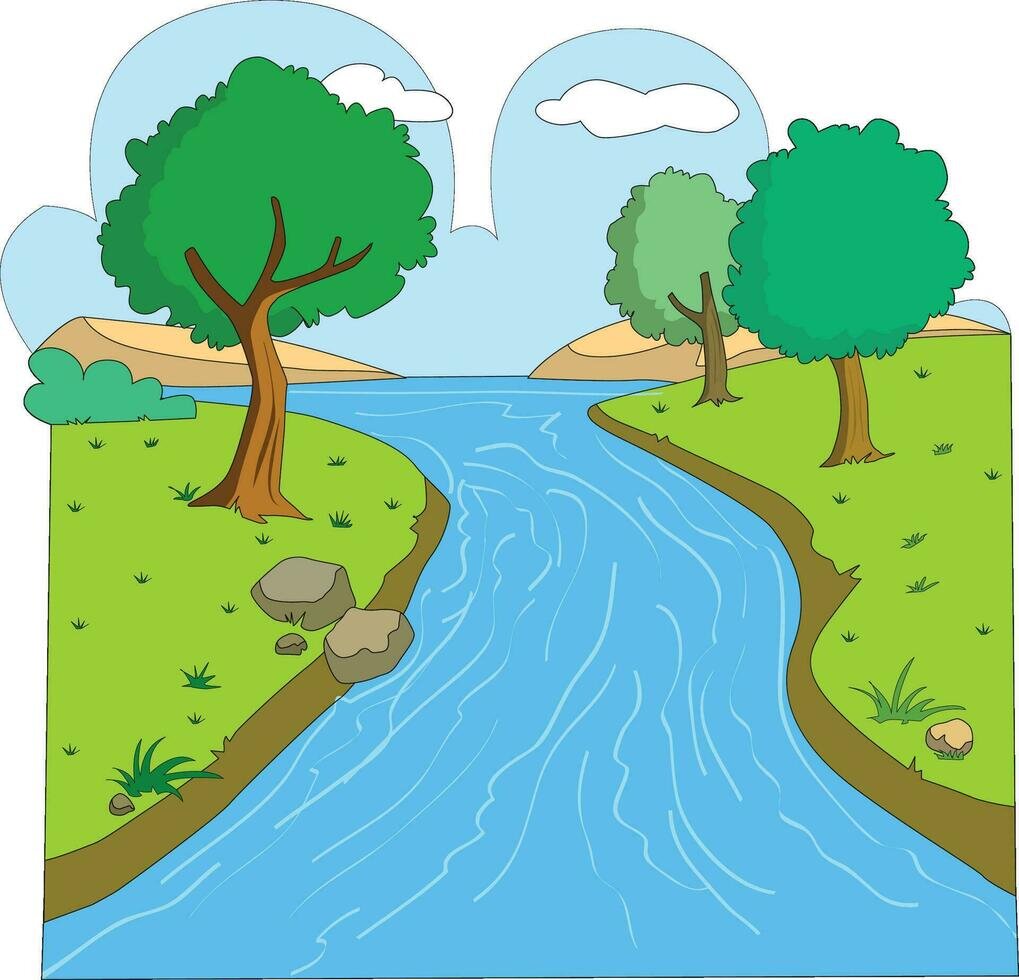 Line Up: Water Cycle – Put the Stages in Order (science)