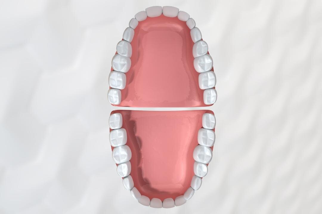Mapa Interactivo: FDI y nomenclatura dental - Dentadura adulto (dientes ...