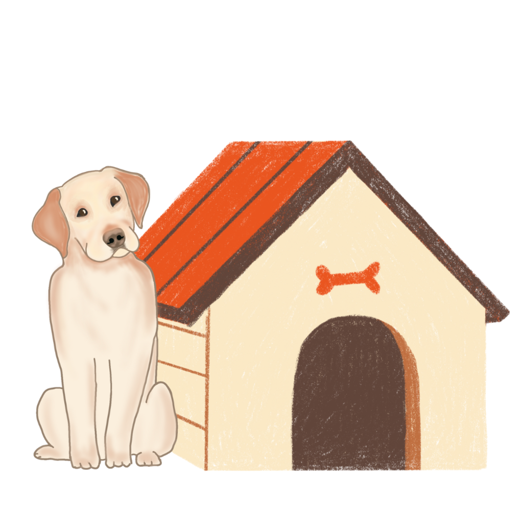 Froggy Jumps: Prepositions of place (english - prepositions of place - english prepositions)