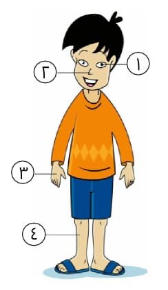 Map Quiz: أجسامنا (physical education)