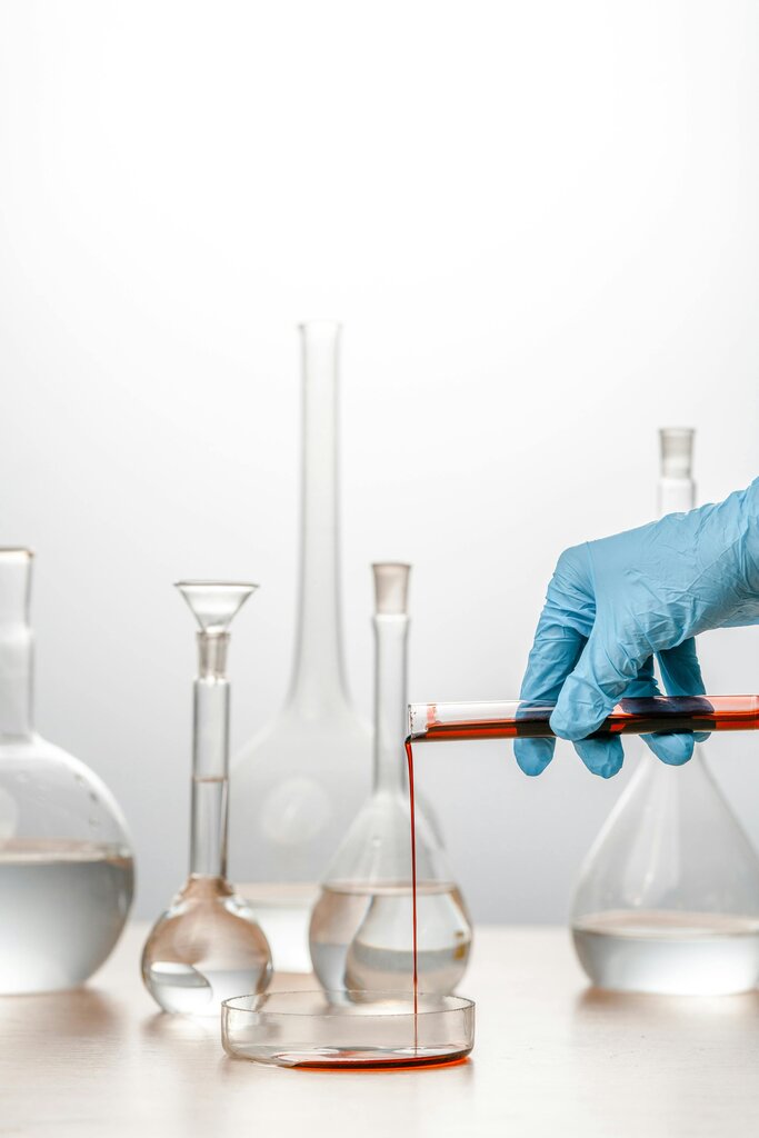 Word Search Puzzle: Word Search: Resolución Algorítmica