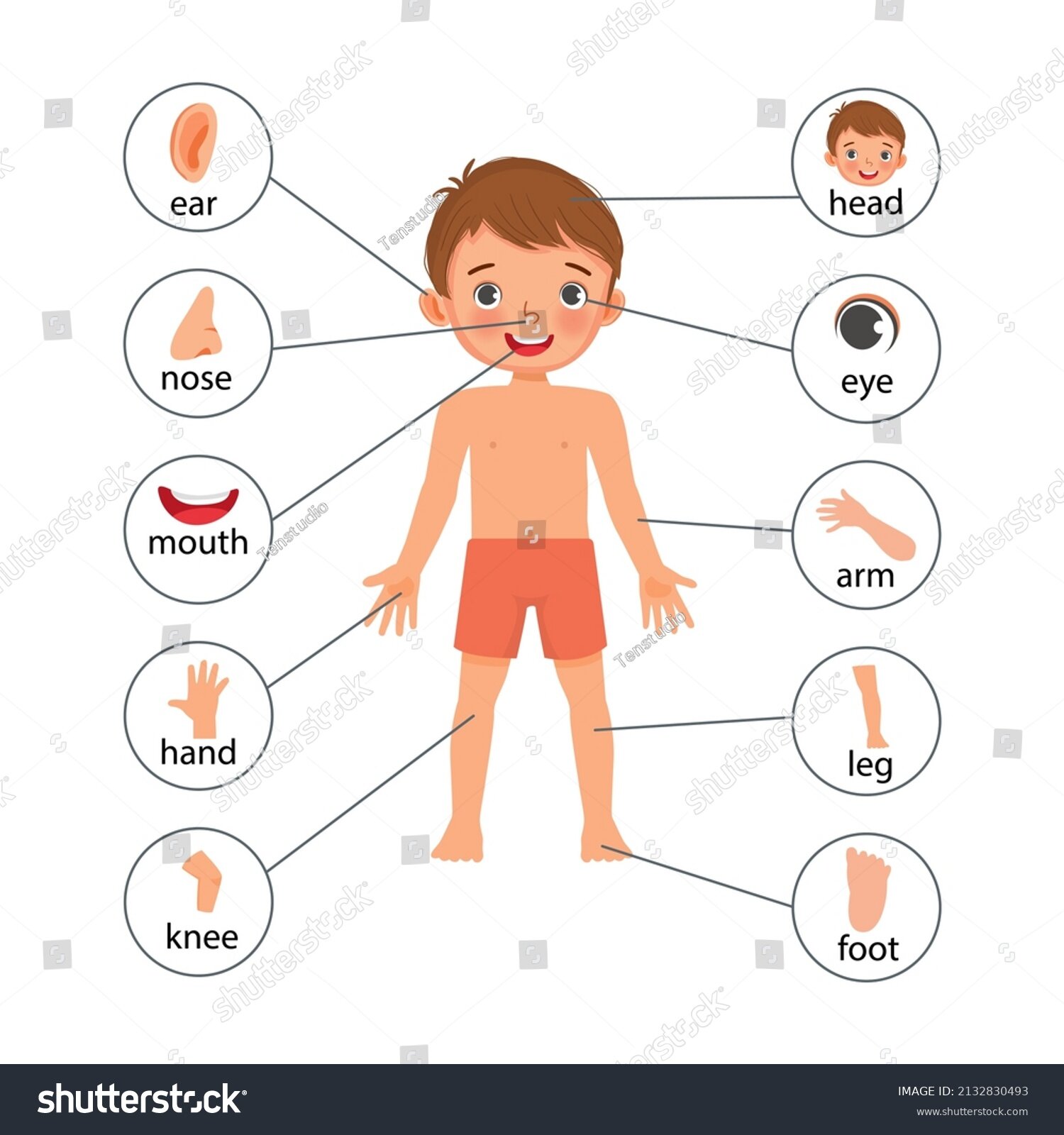 Map Quiz: Parts of the human body (5º infantil - emotional education)