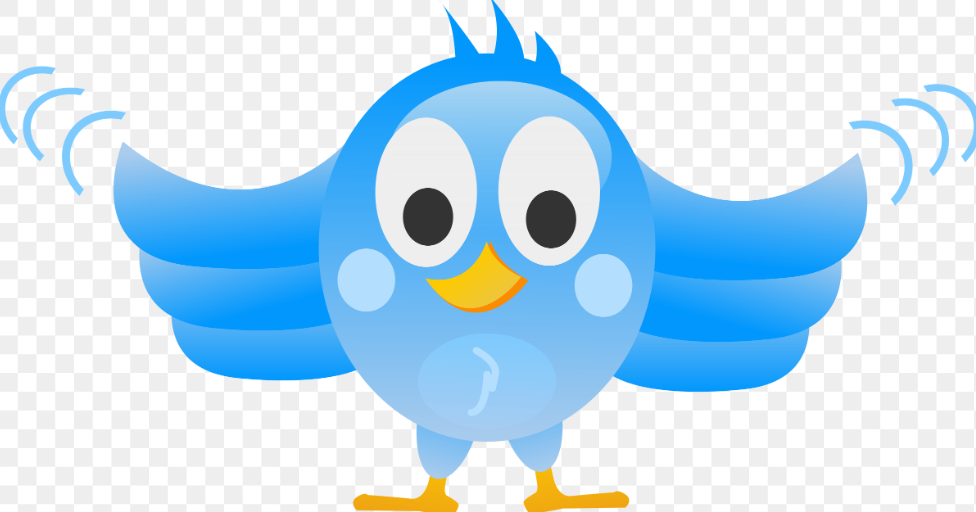 Memory: Developing Decoders 2 - Short Vowels 2 - Book 7 - Tim's Map ...