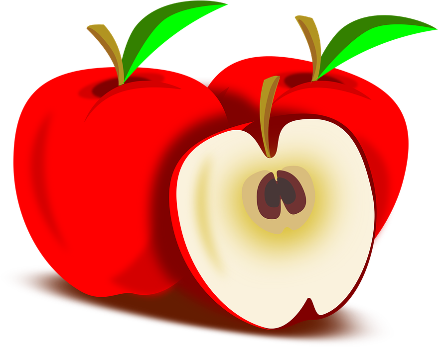 Froggy Jumps: mufrodat tentang hadziqoh (kebun) (kosakata bahasa arab ...