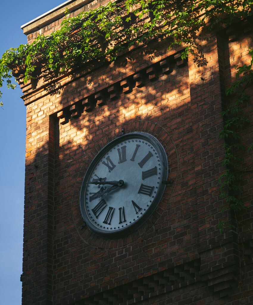 Froggy Jumps: Daily Routines Quiz