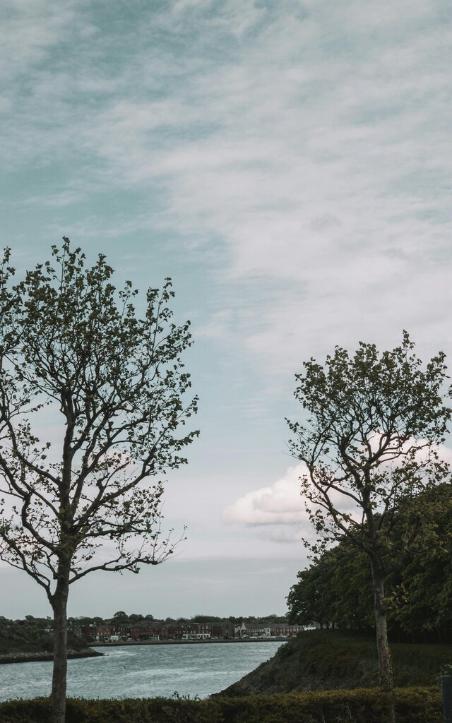 Test: realms of the earth