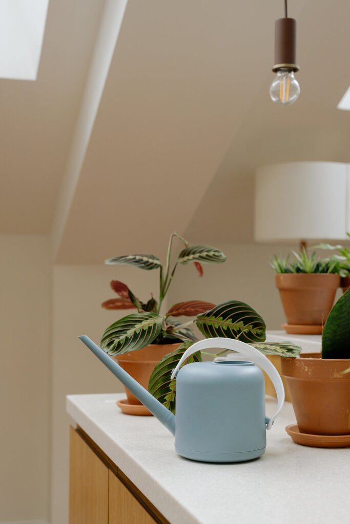 Matching: mencari alat menyiram tanaman