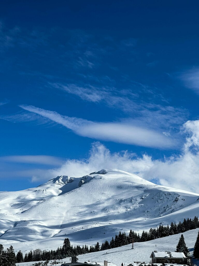 Froggy Jumps: Season and Weather Picture Quiz