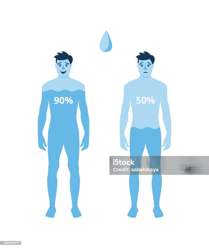 Quiz: TASK 2 QUESTIONING P1