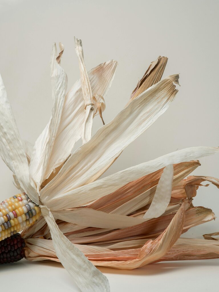 Matching Pairs: Food is covered with...