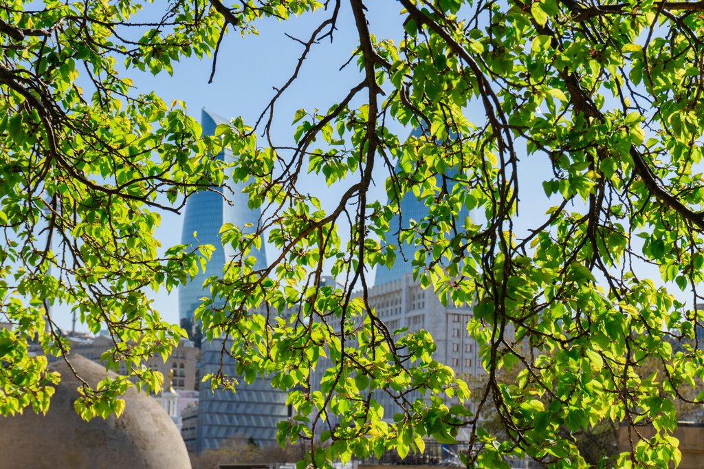 Matching: 🎨 Color Match (second language - 7º - secundaria)