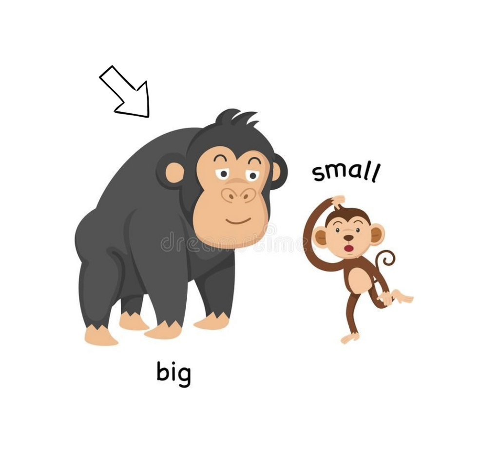 Unscramble Letters: Family and Adjectives