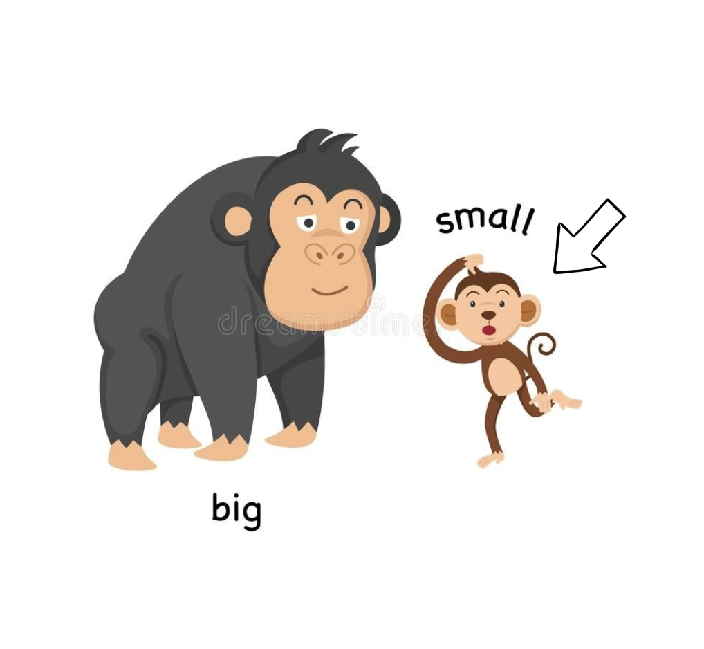 Unscramble Letters: Family and Adjectives