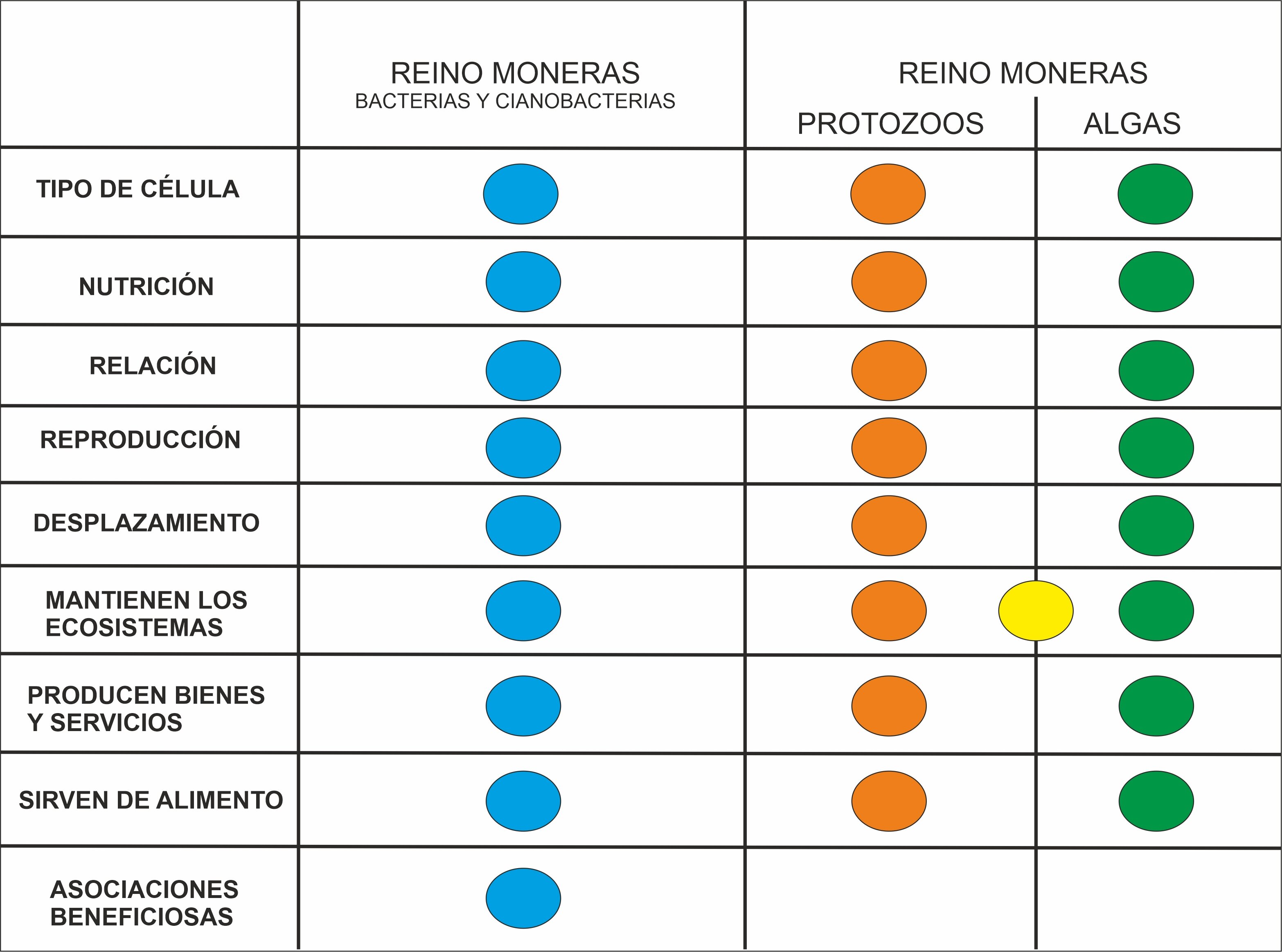 Map Quiz: BIOLOGÍA (biología - 1º e.s.o. - protozoos - algas - reino ...