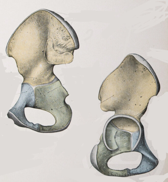 Map Quiz: esquema Ilion