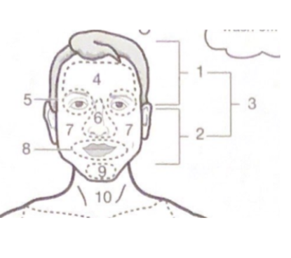 Map Quiz: Body Regions: Head (hs4 - biology)