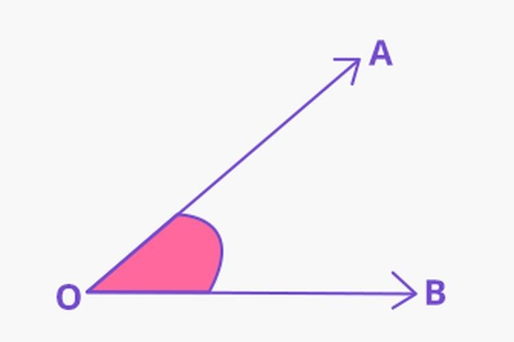 Froggy Jumps: Game seru "Matematika Sudut" (mathematics)