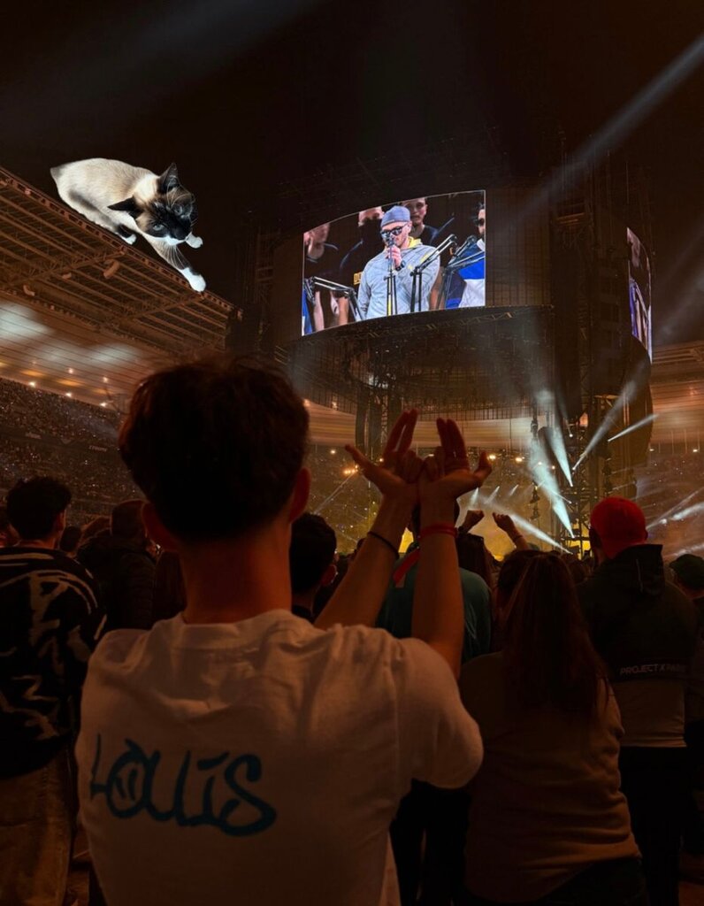 Matching Pairs: Quién es quién