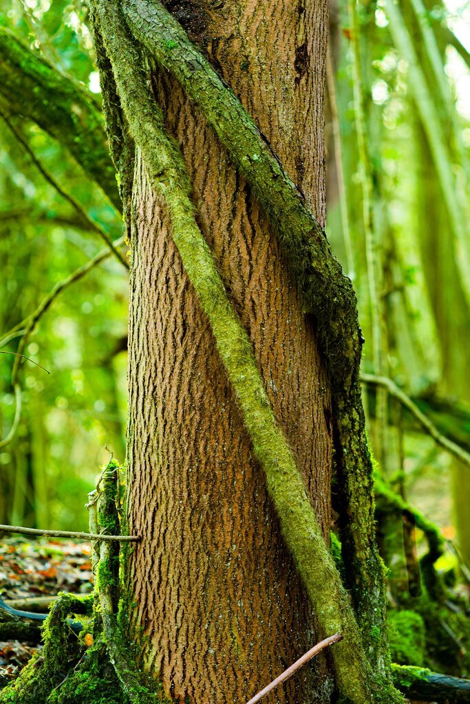 Matching Pairs: LA TEXTURA