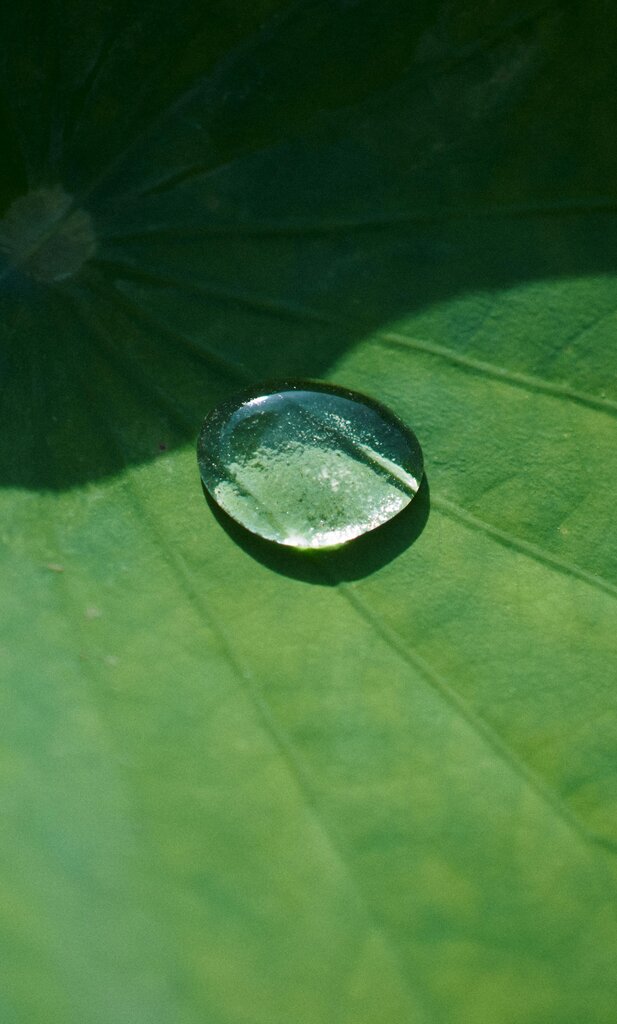 Matching: Introduction to biochemistry. Let's go! (chemistry)