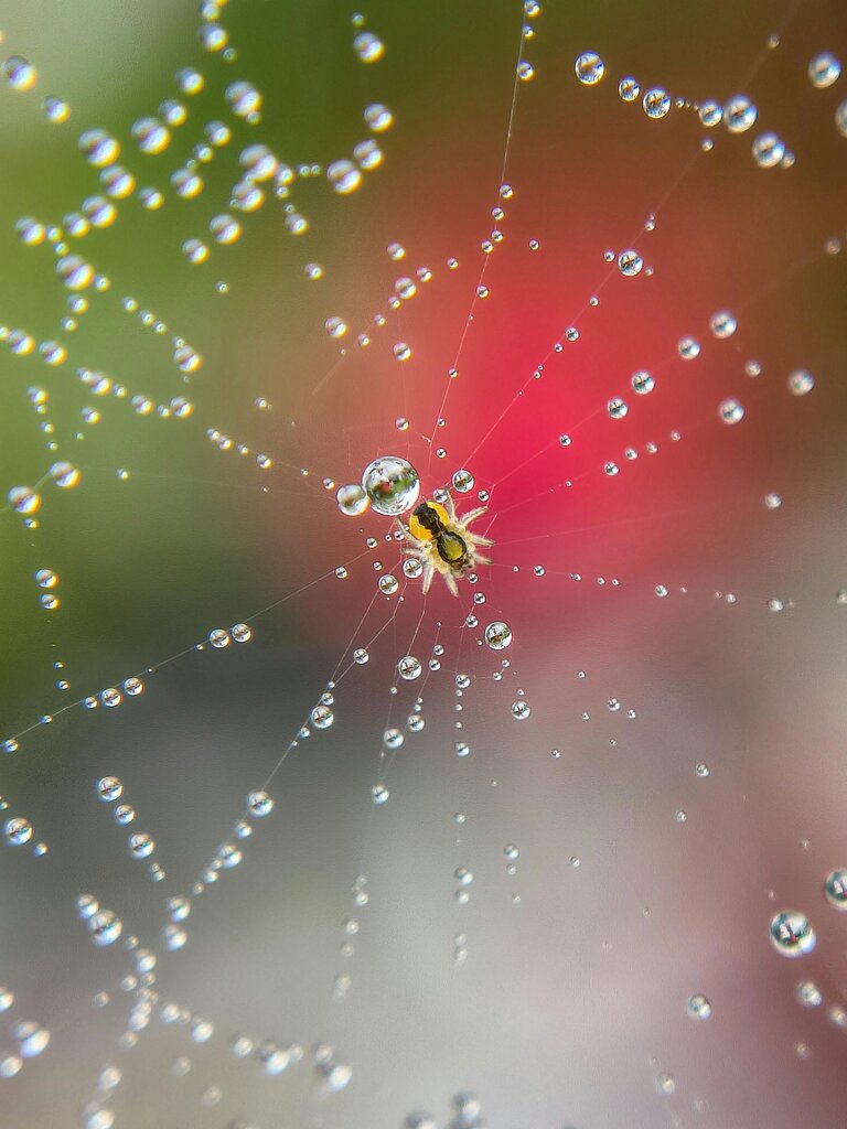 Matching: Introduction to biochemistry. Let's go! (chemistry)