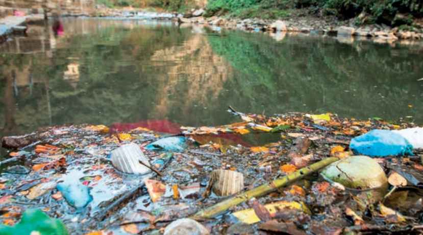 Froggy Jumps: THE ENVIRONMENT. VOCABULARY