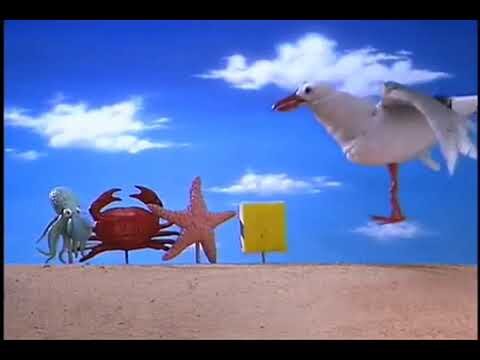 Memory: SpongeBob Anatomy Positions