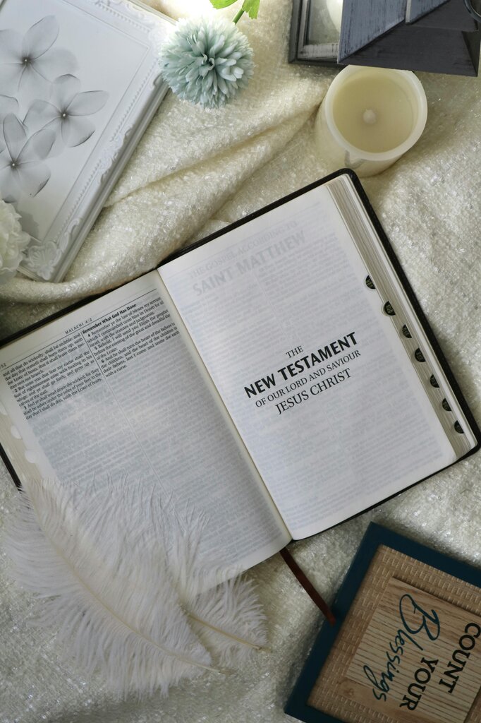 Yes or No: Imperatives sentence (language)