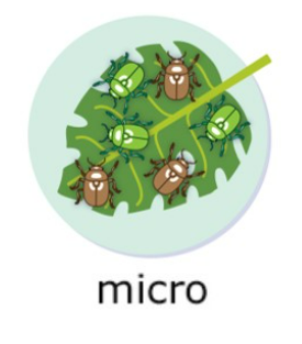 Riddle: Evolution 101 Lecture Part 1