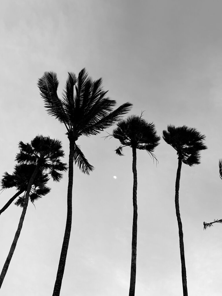 Sí o No: Identifico mi ENTORNO (geografía - 2º - primaria)