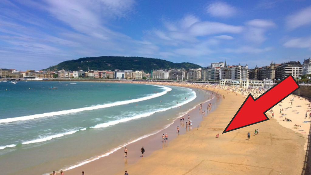 Test: PHYSICAL FEATURES (biology - 2º primaria)