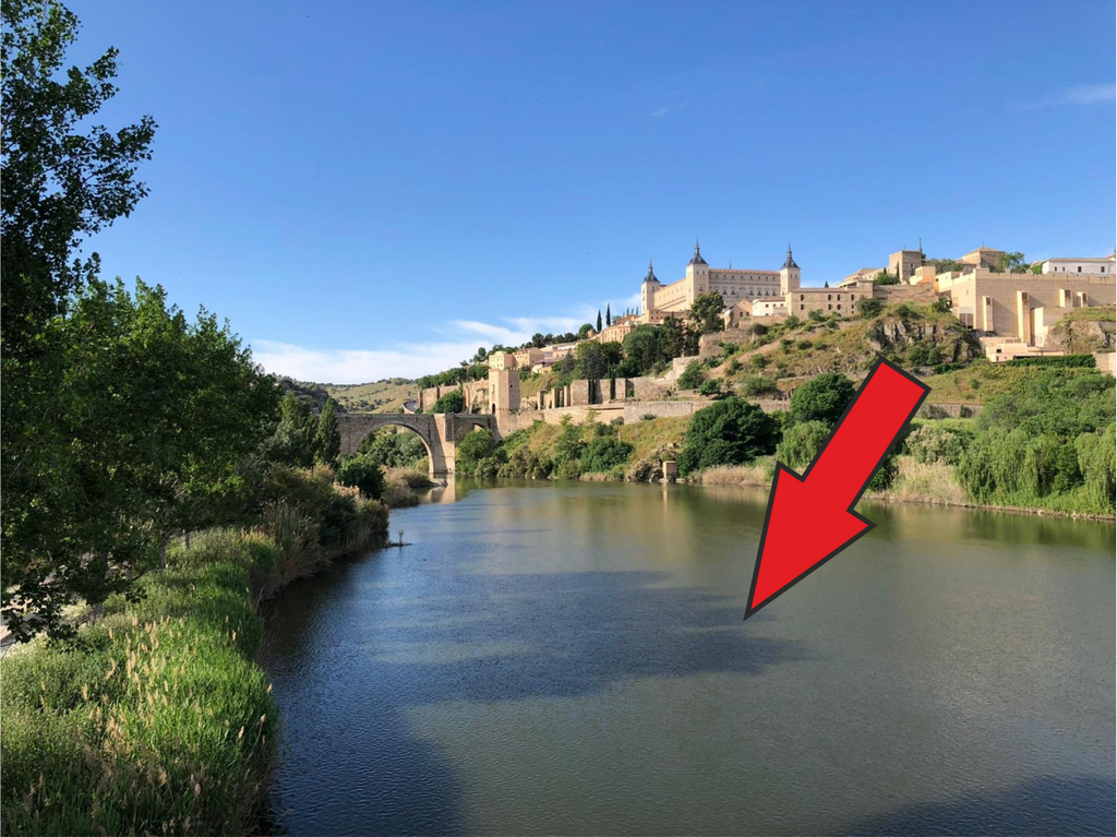 Froggy Jumps: THE COURSE OF A RIVER (biology - 2º primaria)