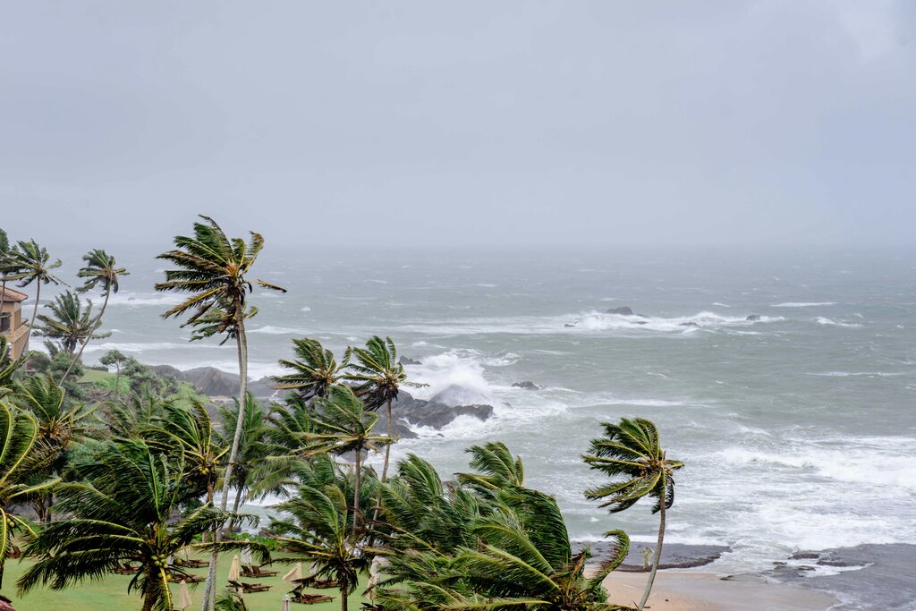 Froggy Jumps: Weather Wise Quiz (matias ramon mella)