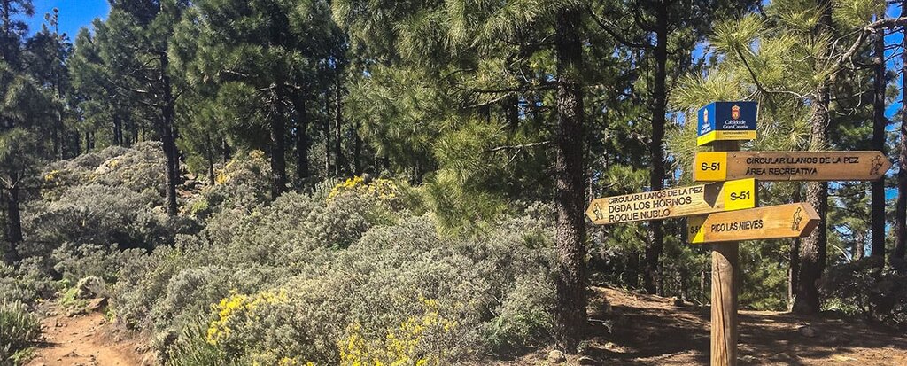 Unscramble Words: NATURAL PARK RULES. Natural heritage. (3º primaria)