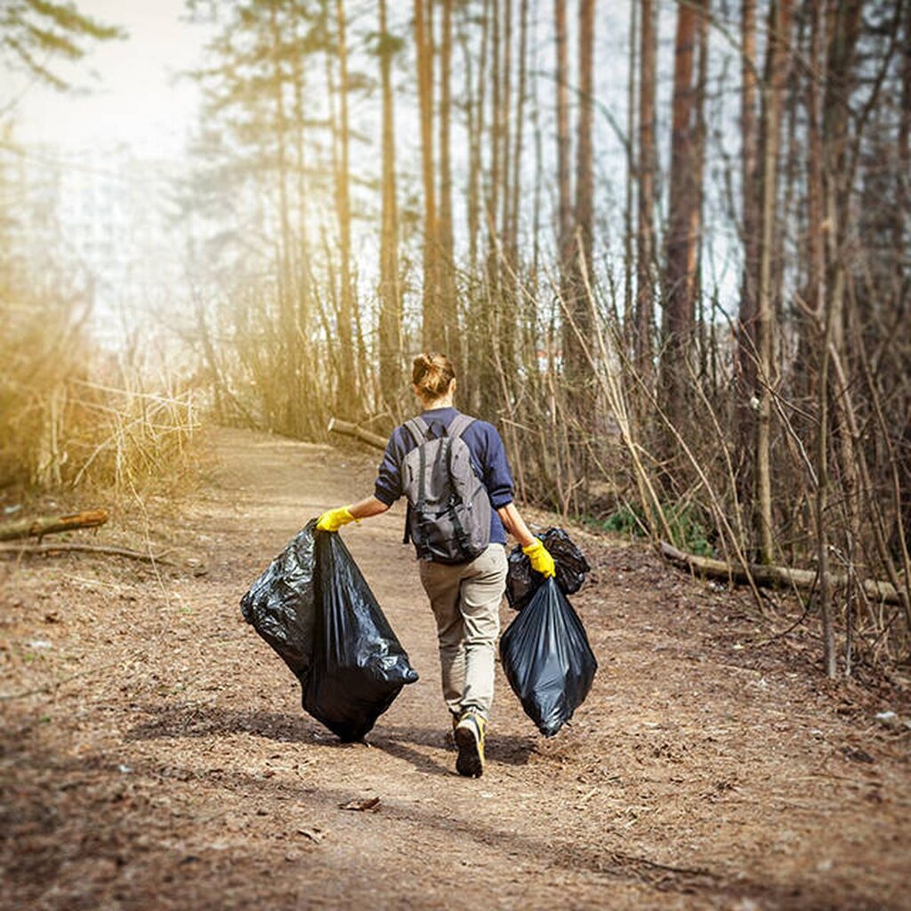 Unscramble Words: NATURAL PARK RULES. Natural heritage. (3º primaria)